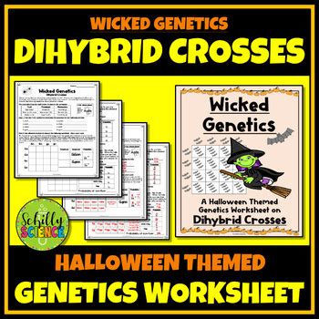 Halloween Genetics Worksheet Dihybrid Crosses By Schilly Science