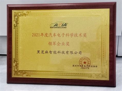 新鼎资本已投企业黑芝麻智能荣膺汽车电子科学技术奖两大奖项搜狐汽车搜狐网