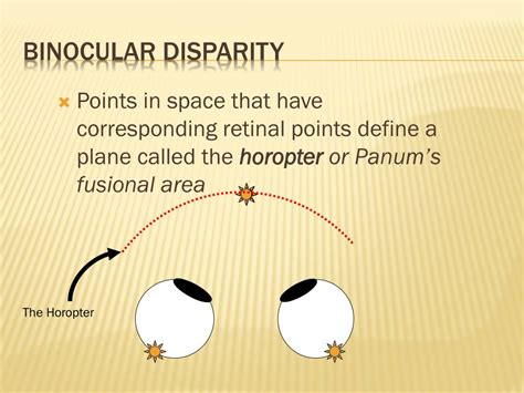 PPT Computational Neuroscience Final Project Depth Vision