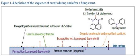 Organic Gunshot Residue Analysis For Potential Shooter Determination