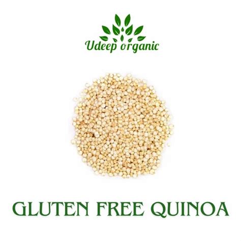 Indian Organic Quinoa Seed Gluten Free At ₹ 90kg In Indore Id