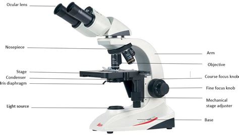 Iris Diaphragm On A Compound Microscope