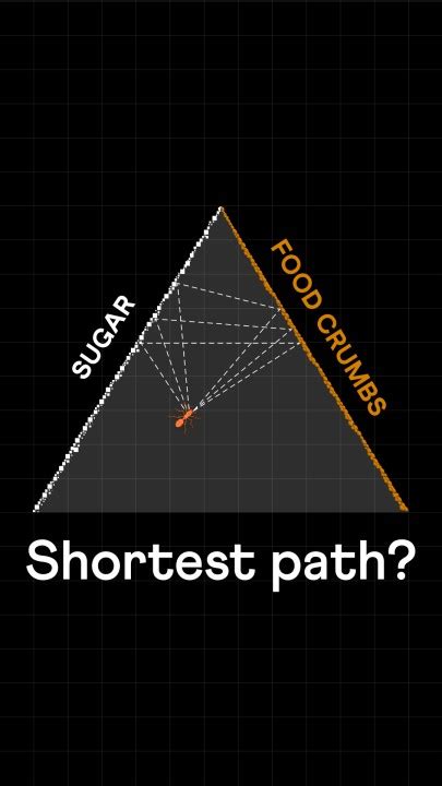 How Cuemath Solved Sugar And Food Puzzle Cuemath Posted On The Topic