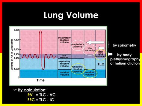 Spirometry Basics