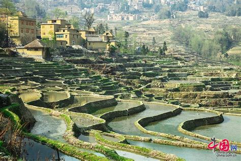 世界遺産のハニ棚田 神秘的で壮大な大地の彫刻 中国網 日本語