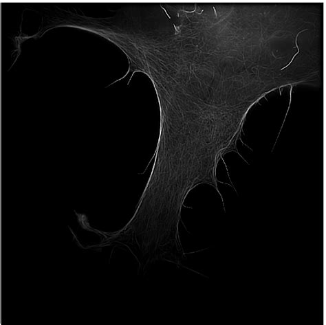 is fft operation neccesary in hessian deblur · issue 11 · weisongzhao