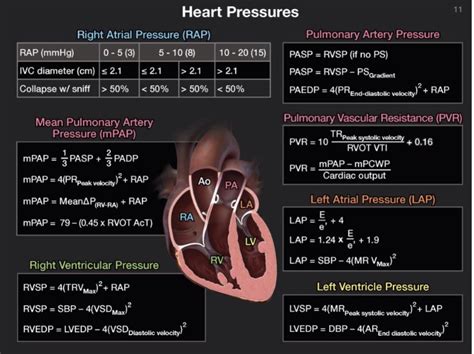 Echocardiography On Twitter NOW AVAILABLE The Echocardiography Formula Review Guide For Heart