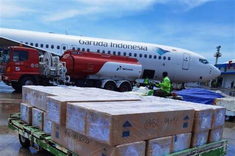 Biak Ekspor Ton Ikan Tuna Segar Ke Jepang