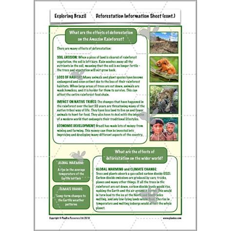 Exploring Brazil Ks2 Lesson Plan Pack For Year 56 Geography — Planbee