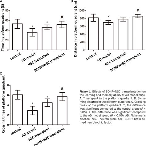 Figure 1 From Effects Of Brain Derived Neurotrophic Factor Pretreated