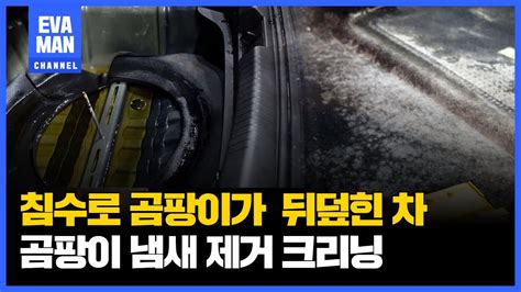 자동차 곰팡이 실내크리닝냄새제거 침수로 인해 곰팡이가 생겼을 쉐보레 말리부 Youtube