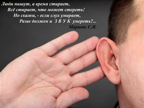 Ppt Презентация на тему « З в у к и ж и з н и Powerpoint