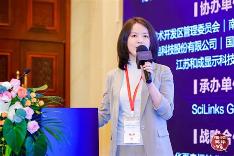 海峡两岸（南京）新型显示产业高峰论坛，严丞辉总经理深度解析强链国产高端显示技术的关键 北京显芯科技有限公司
