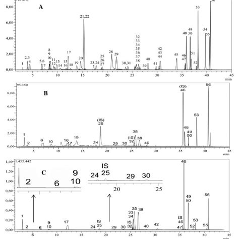 LC MS MS Chromatograms A TIC Chromatogram Of Standard Chemicals Download Scientific Diagram