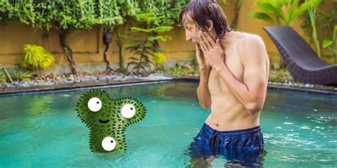 How To Remove Pool Algae Forever Compass Pools Melbourne