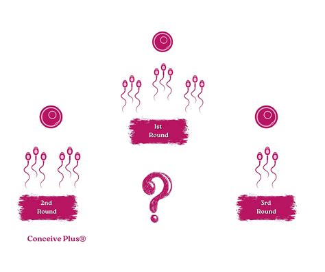 Can The Third Round Sperms Make A Woman Pregnant Conceive Plus®