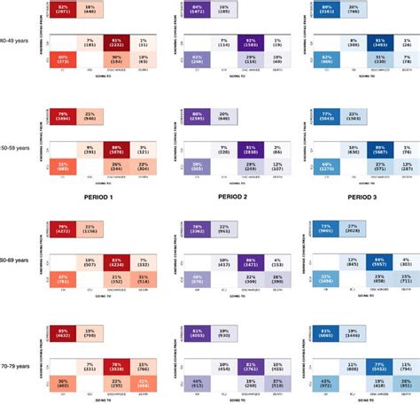 Transition Matrices For Each Period By Age Categories Download
