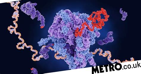 Proteins Are 10 000 Times Thinner Than A Human Hair Scientists Have