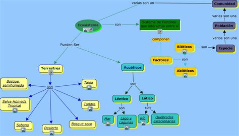 Mapa Conceptual De Ecosistema Terrestre Geno Sexiezpix Web P
