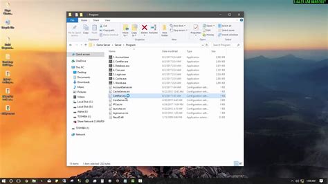 Flyff Private Server V7 Apoice