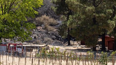 Canarias Mantiene La Alerta Por Riesgo De Incendios Debido A Las Altas