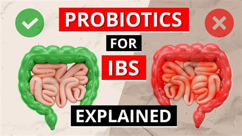 Whats The Probiotics Secret To Ibs Relief Youtube