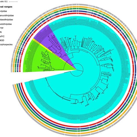 Bayesian Inference Gene Tree With Delineated Motus With Posterior Download Scientific Diagram