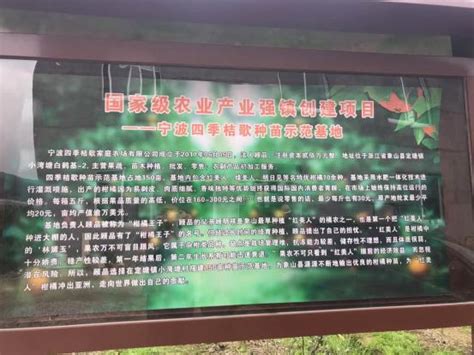 果树早衰救治在行动——象山红美人试验 原起科技（杭州）有限公司