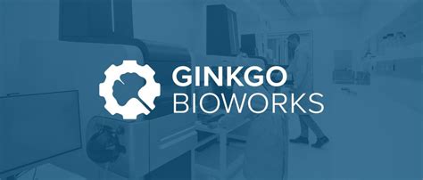 Ginkgo Bioworks Scaling Biology With Real Time Data Rginkgobioworks