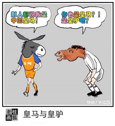 老桂狐画SPORTS皇马与中国皇驴 搜狐体育