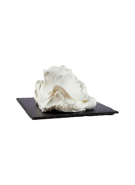 Pregel 7748 Pregel Vittoria50 Box Of 8 Pieces 2 Kg امداد إكس