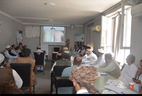 آمریت عمومی معافیت کتلوی ملی وزارت صحت عامه در راستای خدمات معافیت دهی برای هموطنان واجد شرایط