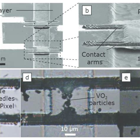 Microscopic Pictures Of The Polymer Composite Based Microbolometers Download Scientific Diagram