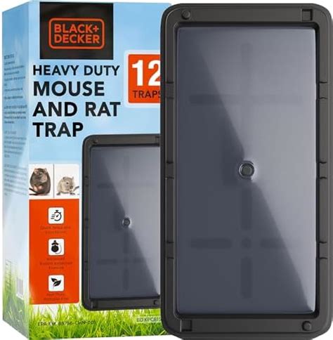 Amazon.com : Sticky Mouse Trap Mouse Glue Traps Sticky Rat Trap That Work for Trapping Snakes ...