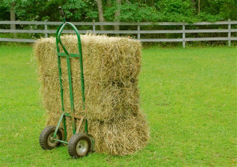 How Much Does A Bale Of Hay Weigh Round Vs Square Bales Outdoor