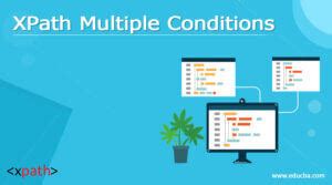 XPath Multiple Conditions How To Use XPath Multiple Conditions