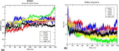 Structural Stability And Compactness Analysis Of RSK1 CTKD WT Black