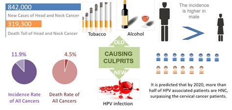 Targeted Nanoparticles For Head And Neck Cancer Advanced Science News