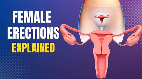 How Does A Female Erection Really Work Youtube
