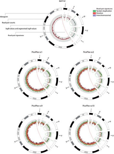 Detection Of Imbalanced Structural Variants By Paired End Mapping Of Download Scientific