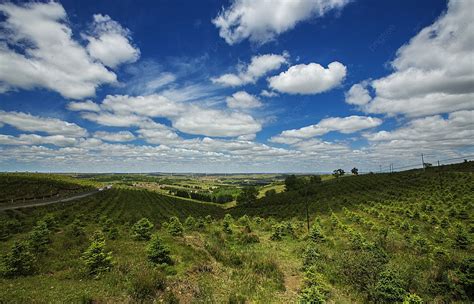 Blue Sky And White Clouds Grassland Sky Road 3  Background