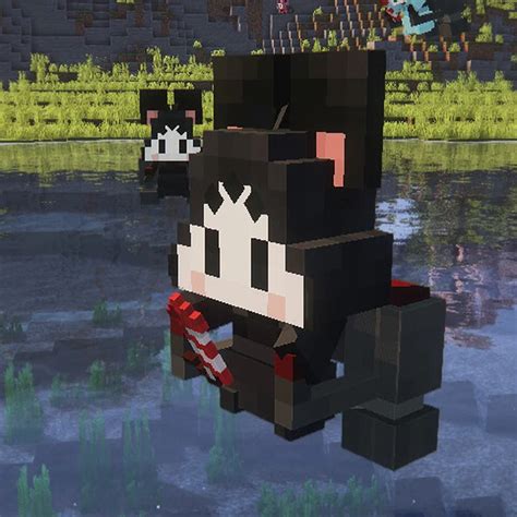 Chattini With Jetpacks As Allay Models Minecraft Texture Pack