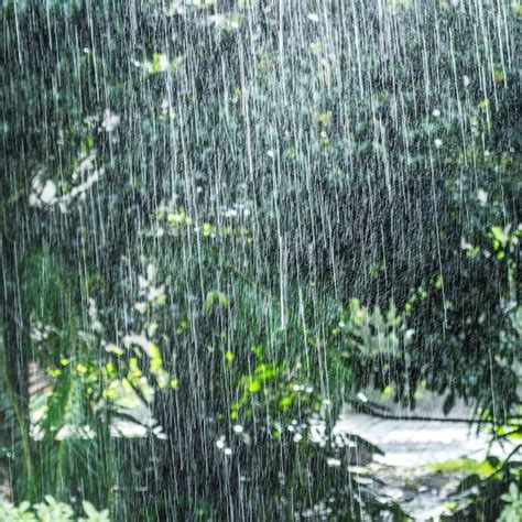 Imd Monsoon Forecast महाराष्ट्रात पावसाचा जोर ओसरला पण नव्या संकटानं