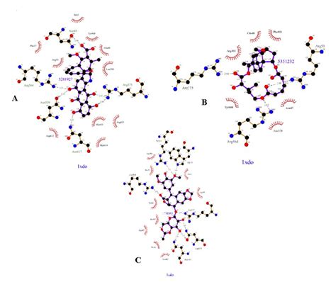 In Silico Analysis Of Escherichia Coli Polyphosphate Kinase Ppk As A Novel Antimicrobial Drug