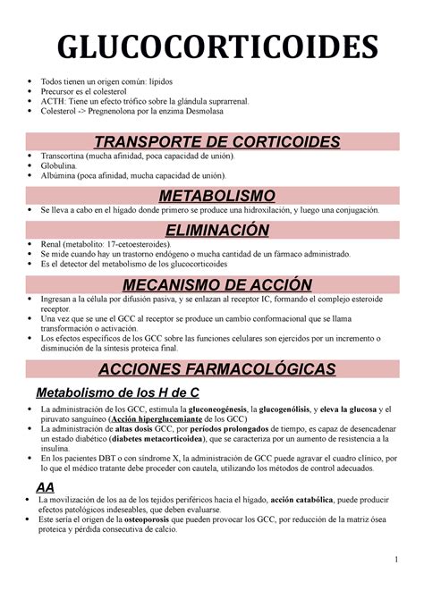 Corticoides Glucocorticoides Todos Tienen Un Origen Común Lípidos
