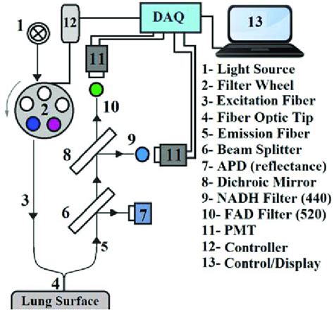 Fluorometer Schematic Diagram 2 Monochromator Fluorescence S