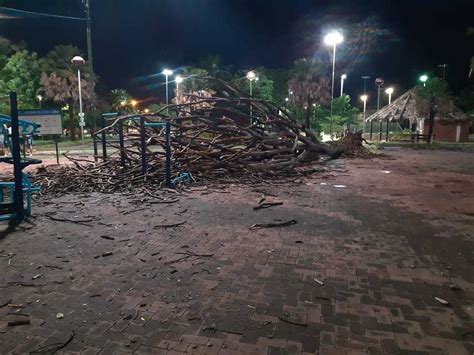 Temporal Derruba árvores Destrói Carros E Deixa Vários Bairros De