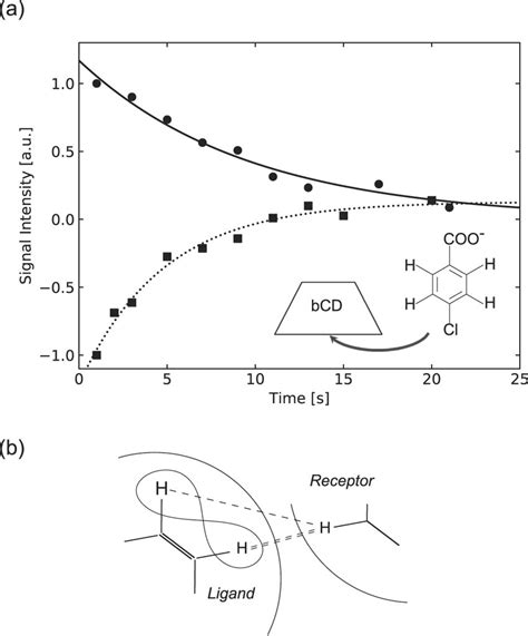 A The Circles Show The Relaxation Curve Of The Singlet Pair State