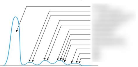 Lecture 7 Protein Electrophoresis Diagram Quizlet