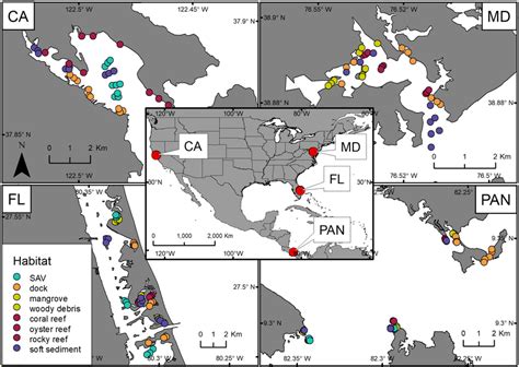 Sampling Locations Of Dual Frequency Identification Sonar Didson Download Scientific Diagram